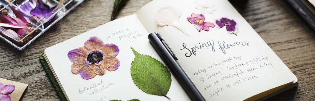 Your Very Own Photo Journal in 5 Easy Steps | Displate Blog