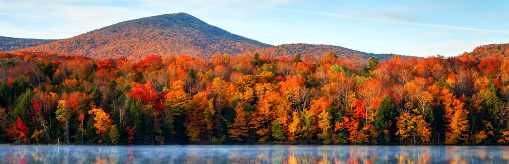 15+ Most Beautiful Fall Pictures from Around the World | Displate Blog