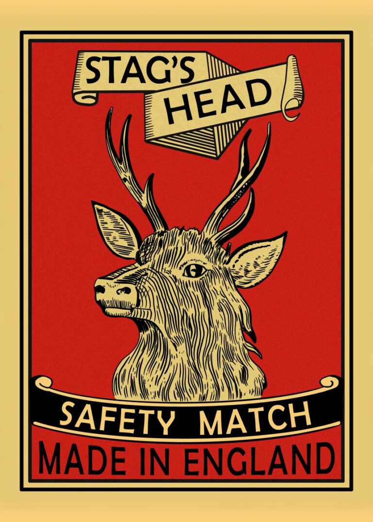 30+ Awesome Things to Collect As a Hobby | Displate Blog