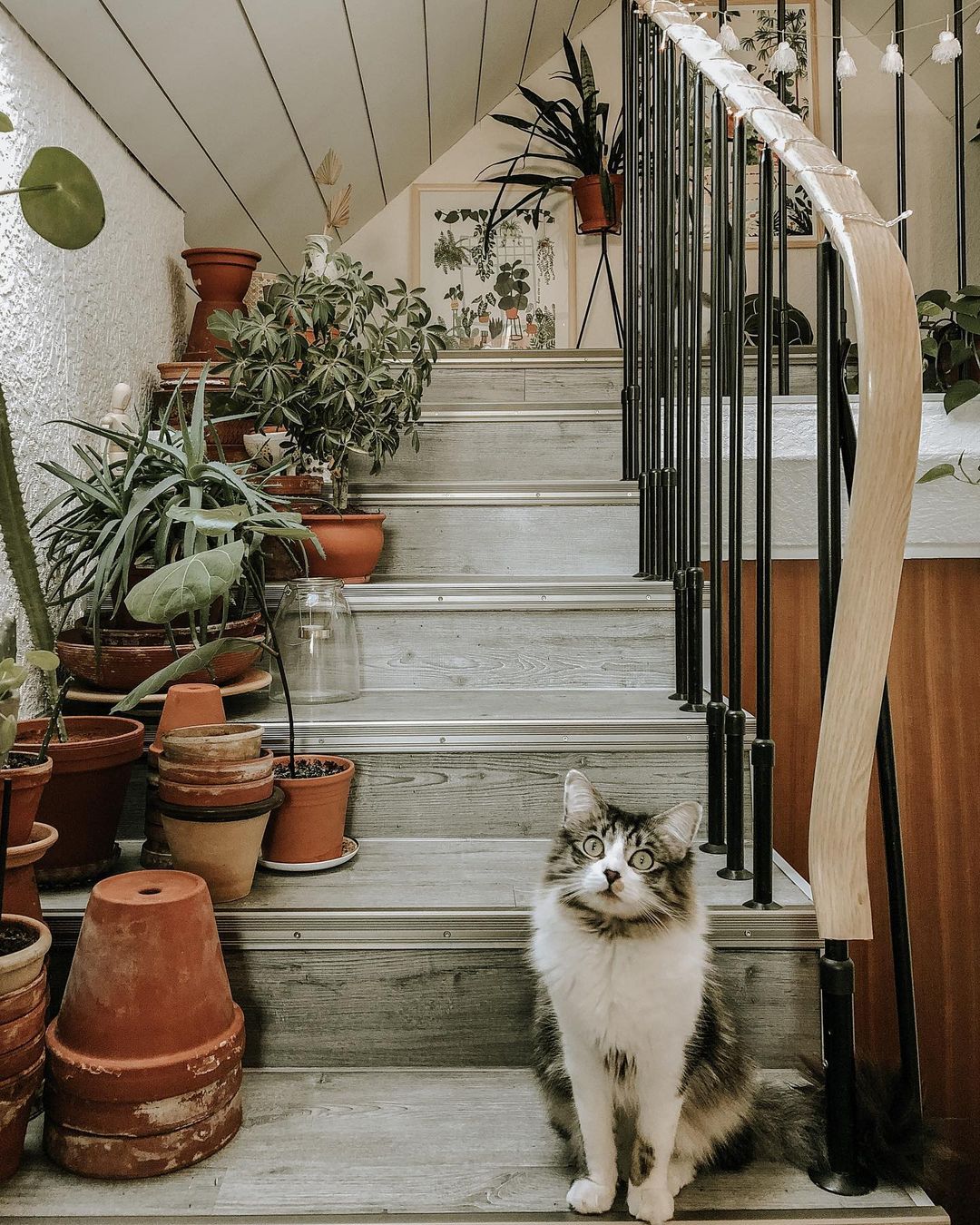 Plant Room Ideas: How To Turn Your Home Into a Leafy Paradise | Displate Blog