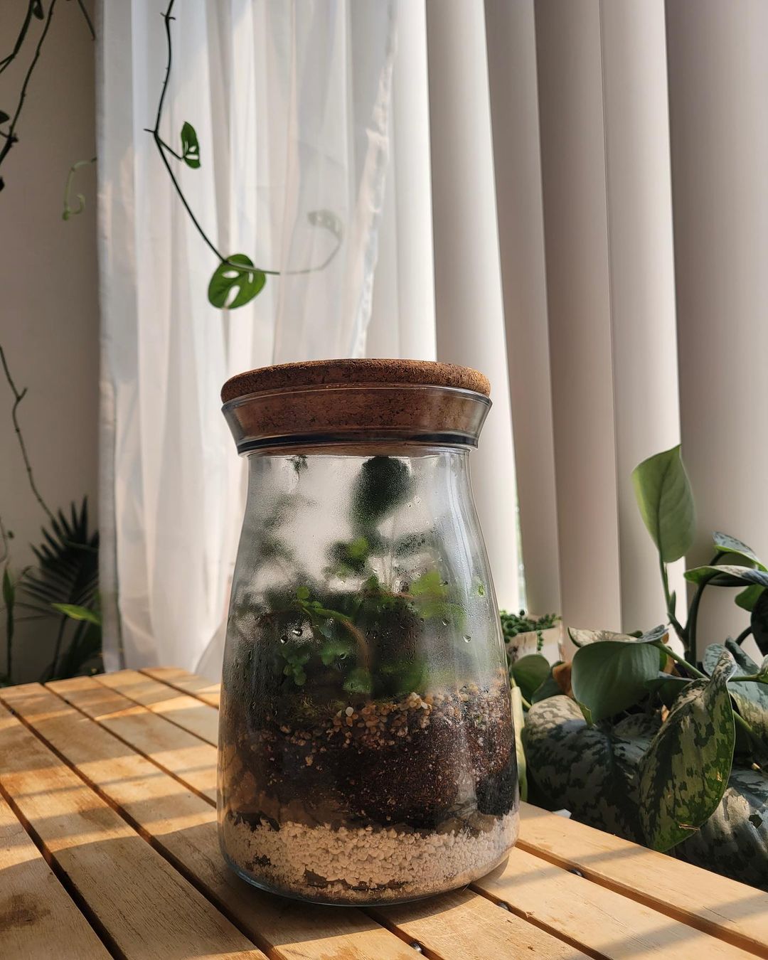 Plant Room Ideas: How To Turn Your Home Into a Leafy Paradise | Displate Blog