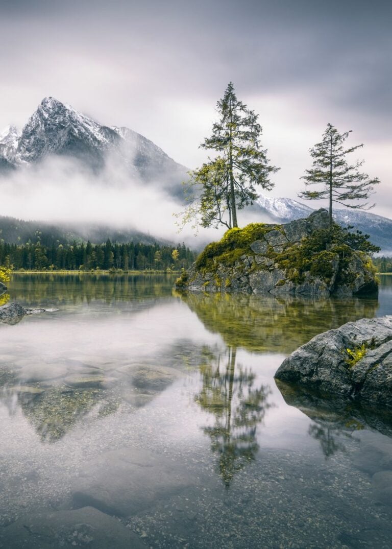 Country Living Room Ideas: 40 Chic & Rustic Interior Looks | Displate Blog