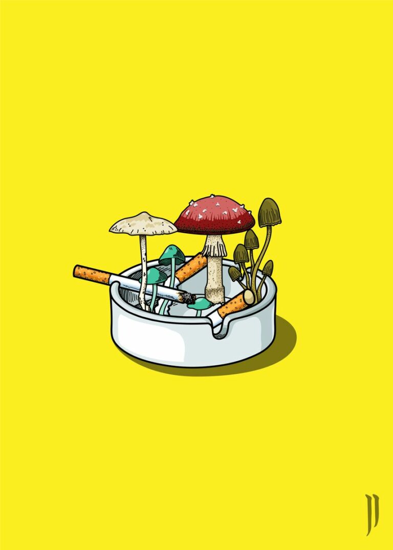 30+ Awesome Things to Collect As a Hobby | Displate Blog