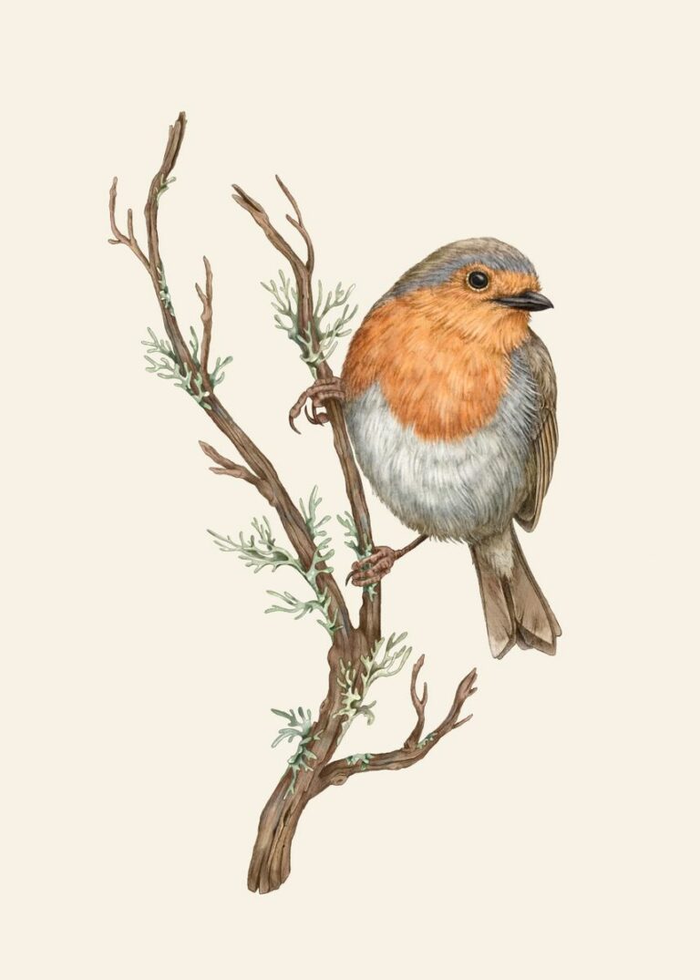 15 Best Cottagecore Decor Ideas for 2025 and Beyond | Displate Blog