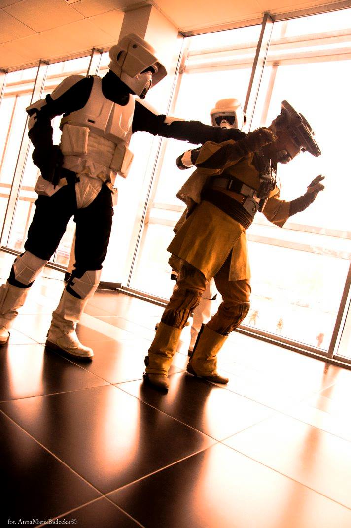 Meet the Collector: Cosplay Edition | Displate Blog