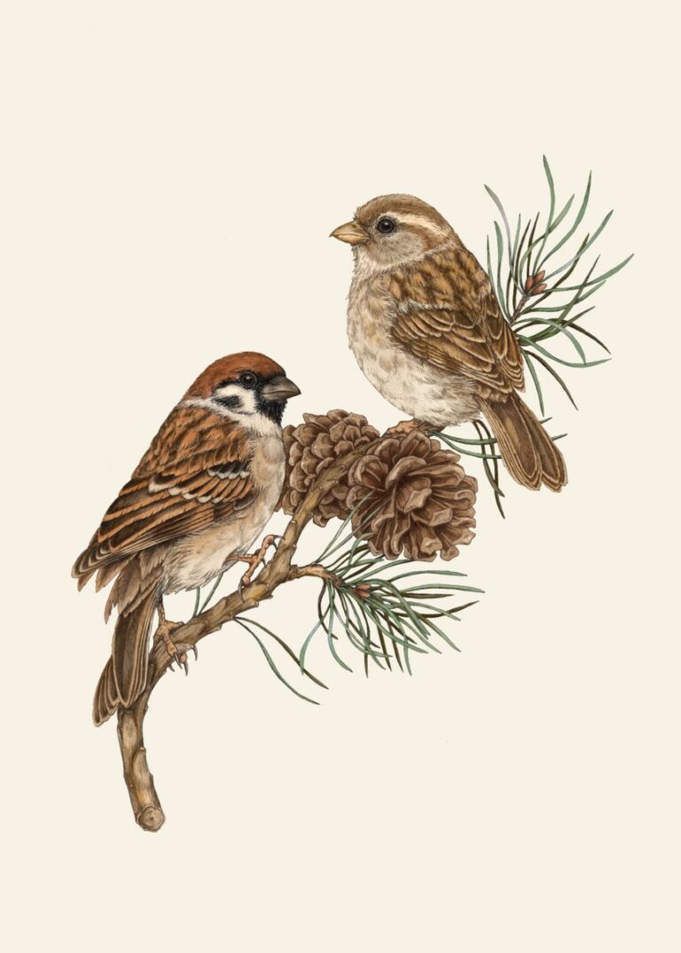 15 Best Cottagecore Decor Ideas for 2025 and Beyond | Displate Blog